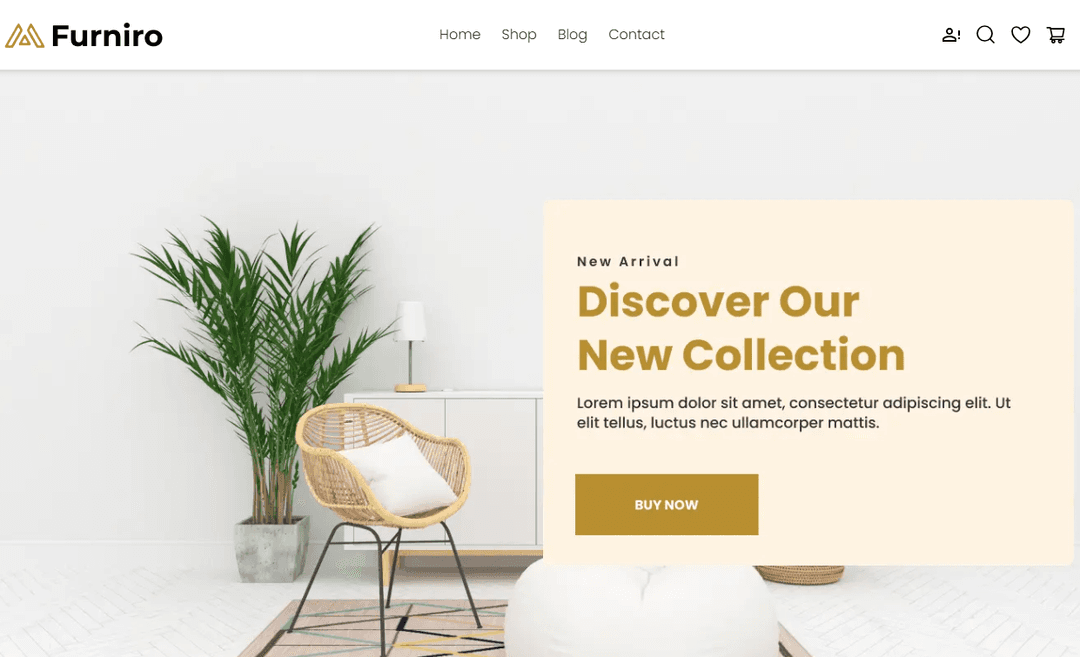 Nabeel Ali Portfolio